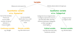 Identify Variable Types in Statistics (with Examples) – QUANTIFYING HEALTH